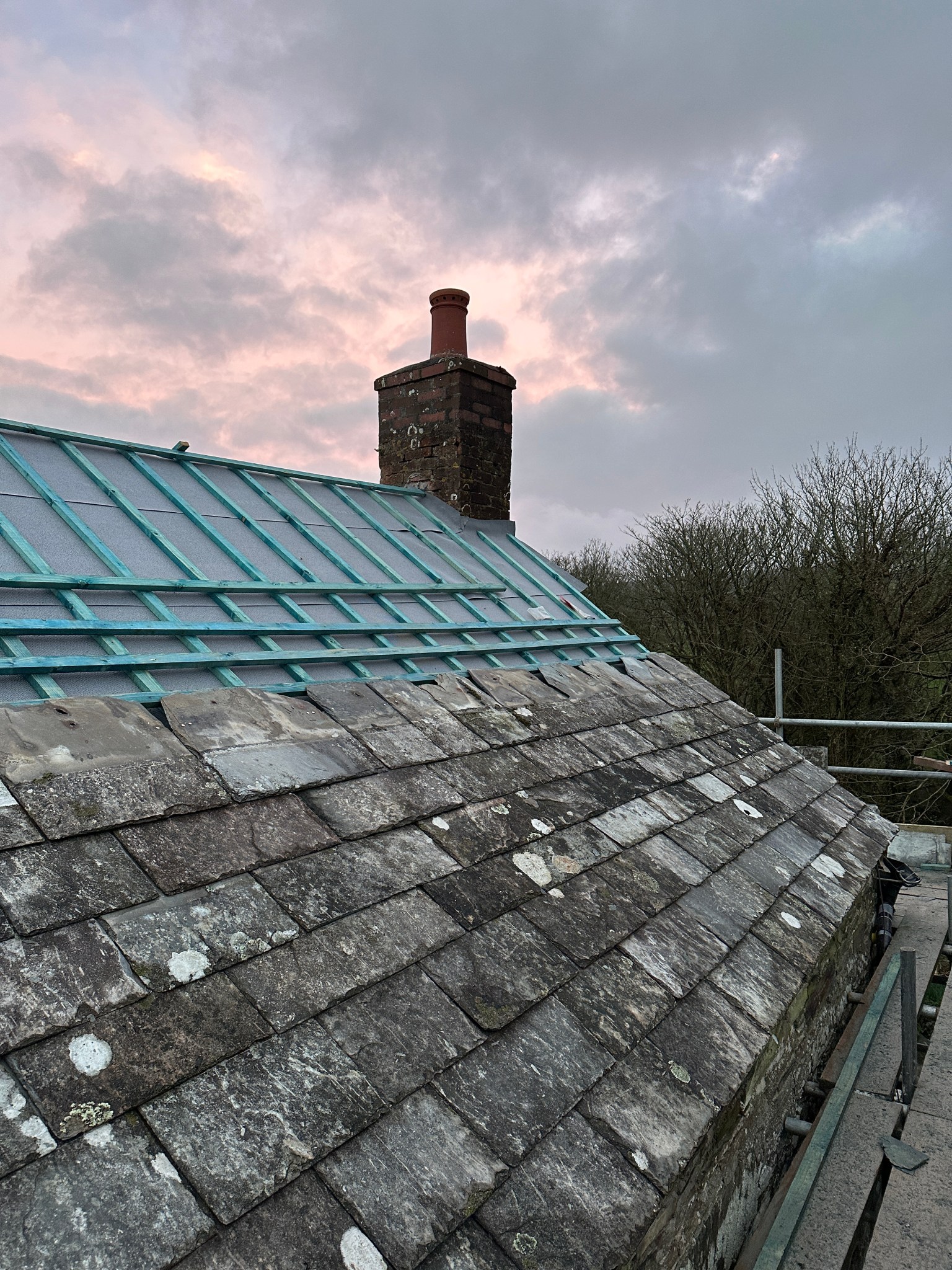 Living in a house without a roof – bookbusbird